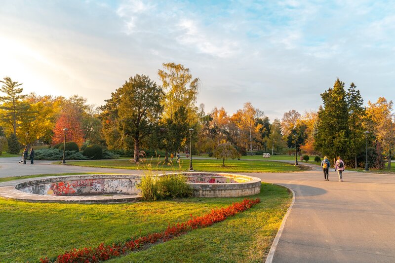 Discover Timisoara: 10 Things to See and Do