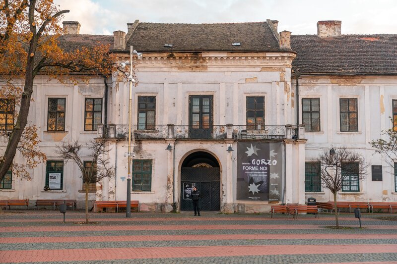 Discover Timisoara: 10 Things to See and Do