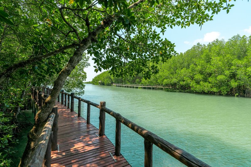 10 Amazing Things to Do in Chumphon for Solo Travelers