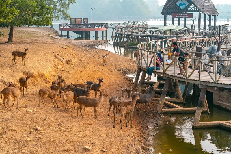 10 Amazing Things to Do in Chumphon for Solo Travelers