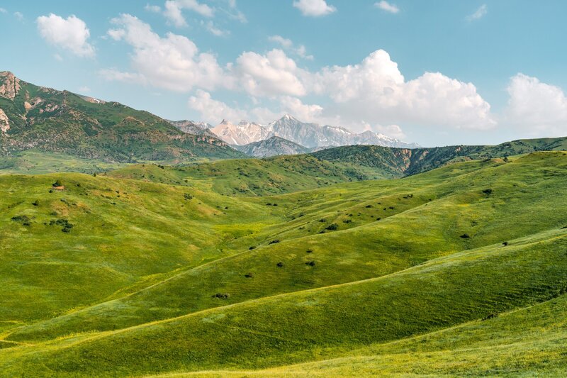 9 Awesome Things to Do in Shymkent