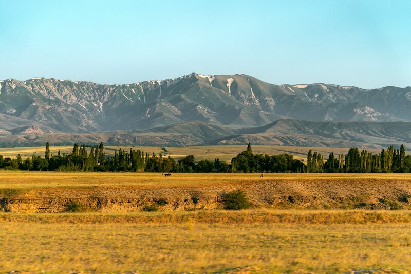 9 Awesome Things to Do in Shymkent