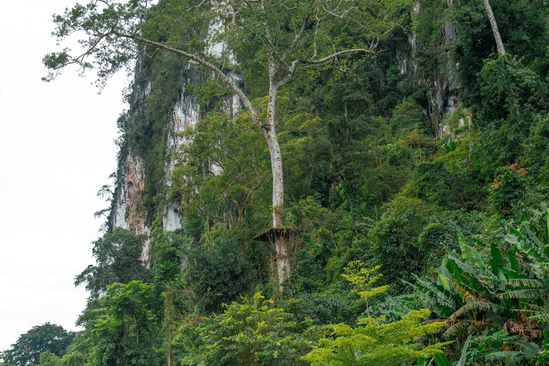 Discover Vang Vieng: 10 Adventures You Can't Miss