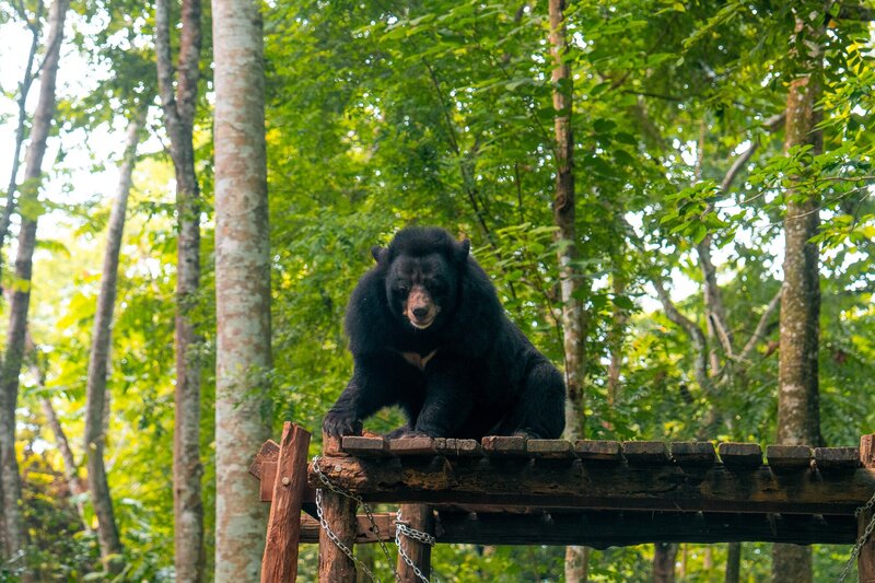 Discover Luang Prabang: 12 Awesome Things to Do & More