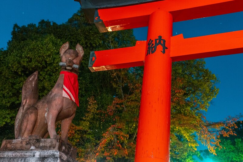 2 Weeks Backpacking Japan Itinerary for Solo Travelers