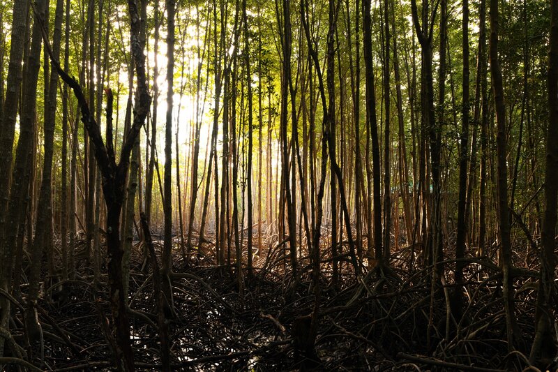 Your Guide to Rayong: 10 Amazing Activities