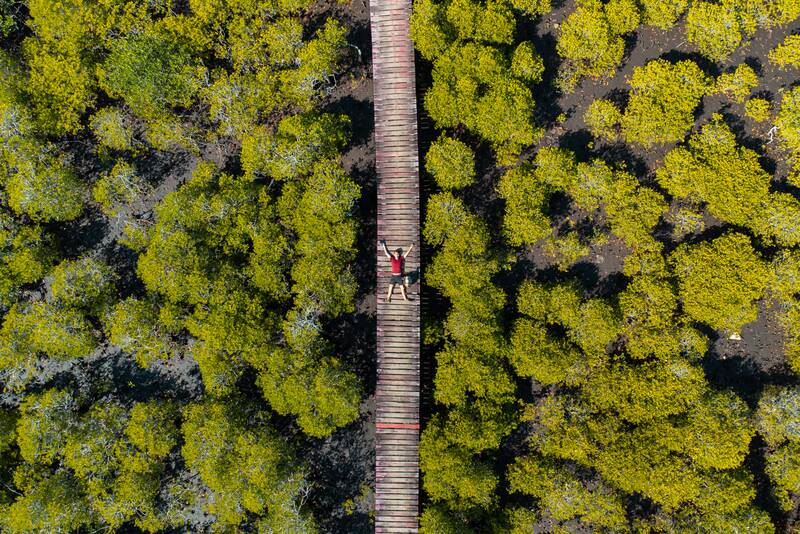 10 Impressive Things to Do in Trat for Solo Travelers