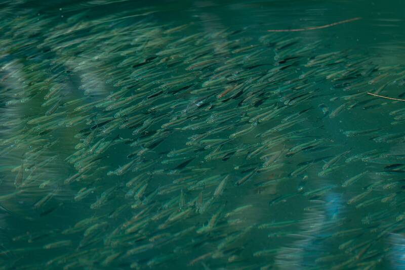 A Complete Travel Guide to Koh Kood (Ko Kut)