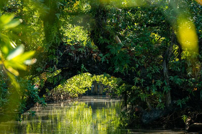 A Complete Travel Guide to Koh Kood (Ko Kut)