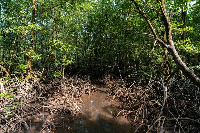 10 Impressive Things to Do in Trat for Solo Travelers