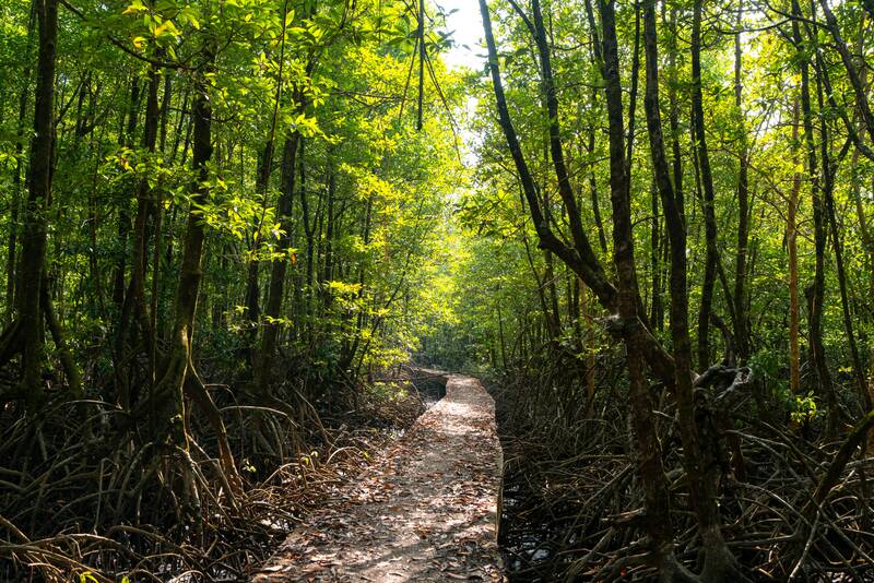 10 Impressive Things to Do in Trat for Solo Travelers