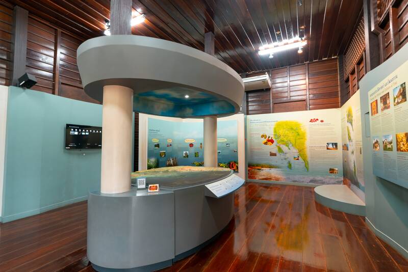 10 Impressive Things to Do in Trat for Solo Travelers