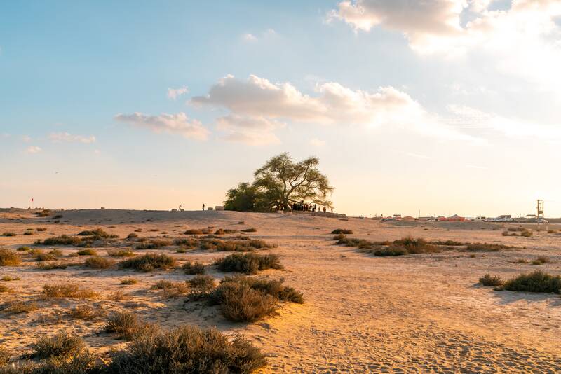 Bahrain in One Day: 10 Experiences You Can’t Miss