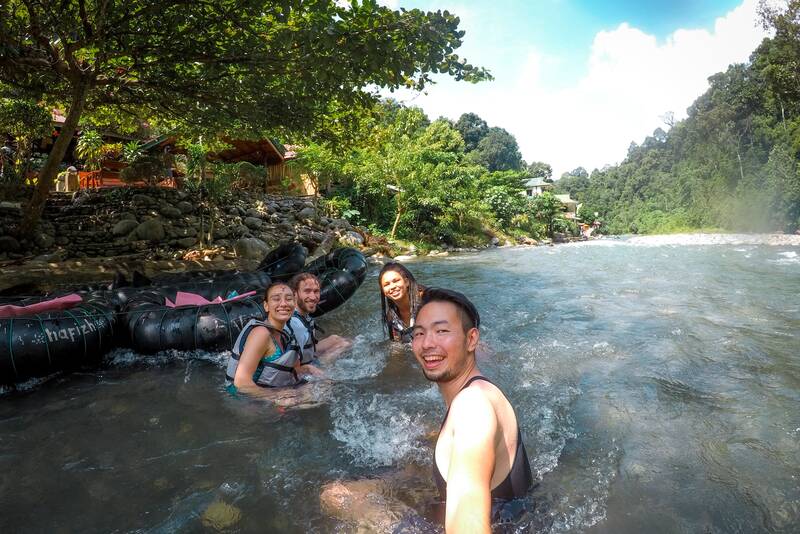 A Complete Guide to Orangutan Trekking in Bukit Lawang