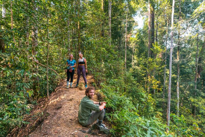 A Complete Guide to Orangutan Trekking in Bukit Lawang