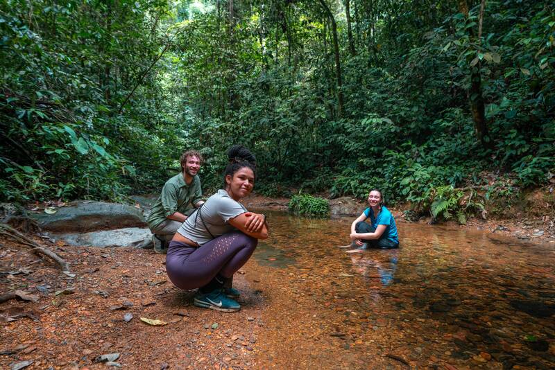 A Complete Guide to Orangutan Trekking in Bukit Lawang