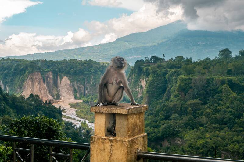 12 Incredible Things to Do in Bukittinggi for Solo Travelers