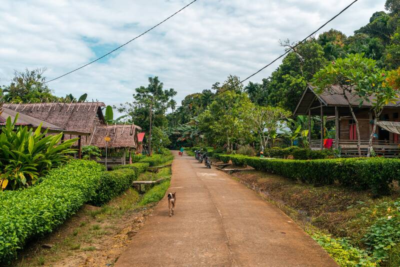 Visiting the Mentawai Tribe: A Complete Guide