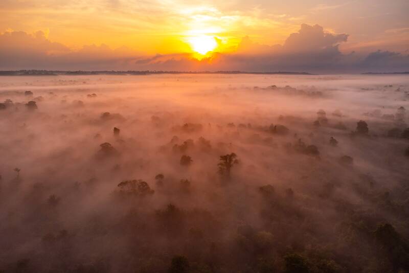 Visiting the Mentawai Tribe: A Complete Guide
