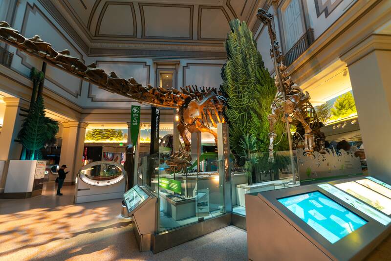 Best Museums to Visit in Washington DC: My 8 Favorites