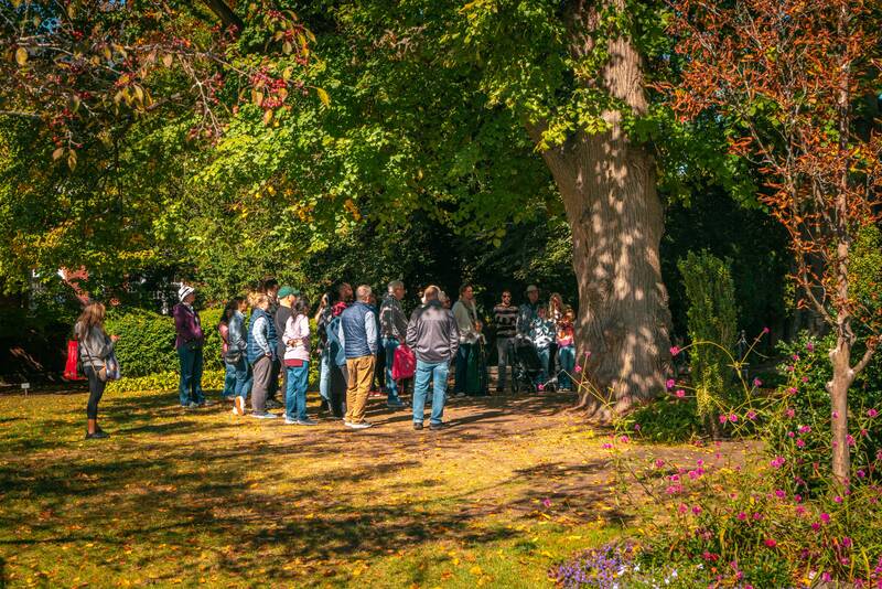 Discover Salem: 10 Highlights You Can't Miss