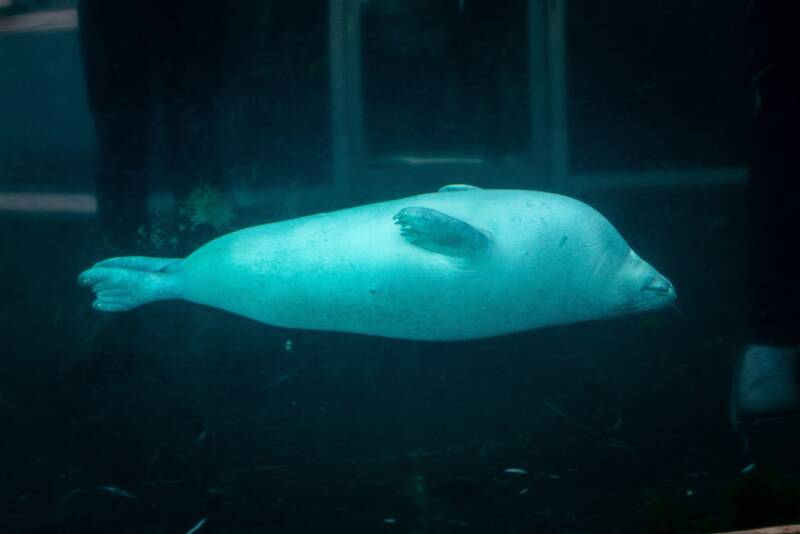 Boston Bucket List: 15 Must-Do Activities for First-Time Visitors