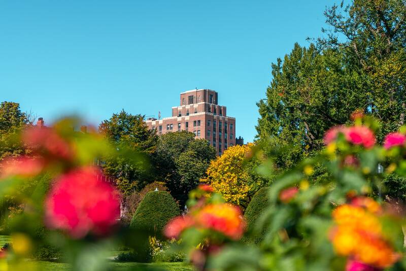 Boston Bucket List: 15 Must-Do Activities for First-Time Visitors