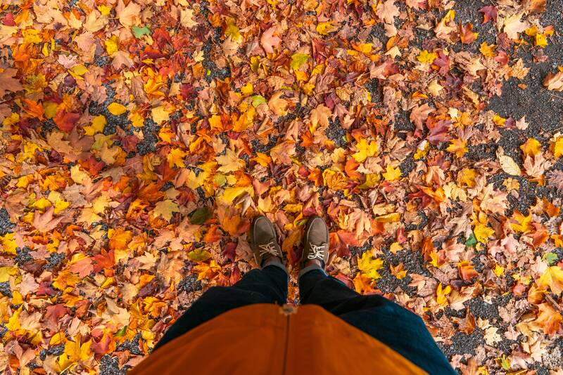 Quebec City Guide: 10 Must-Do Activities and Places to See