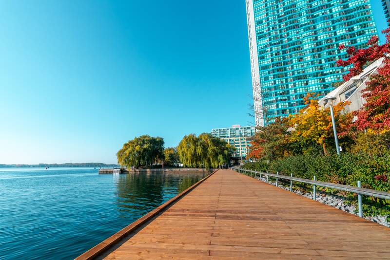 Discover Toronto: 12 Awesome Things to Do and See