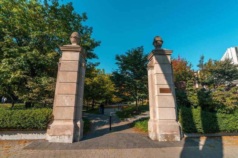 Discover Toronto: 12 Awesome Things to Do and See