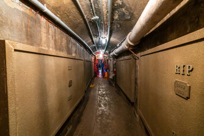 Discover Toronto: 12 Awesome Things to Do and See