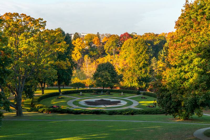 Discover Toronto: 12 Awesome Things to Do and See