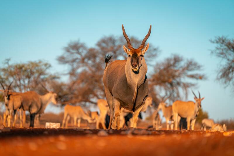 2 Weeks in Namibia: A Road Trip Itinerary