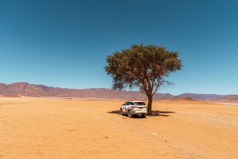 2 Weeks in Namibia: A Road Trip Itinerary