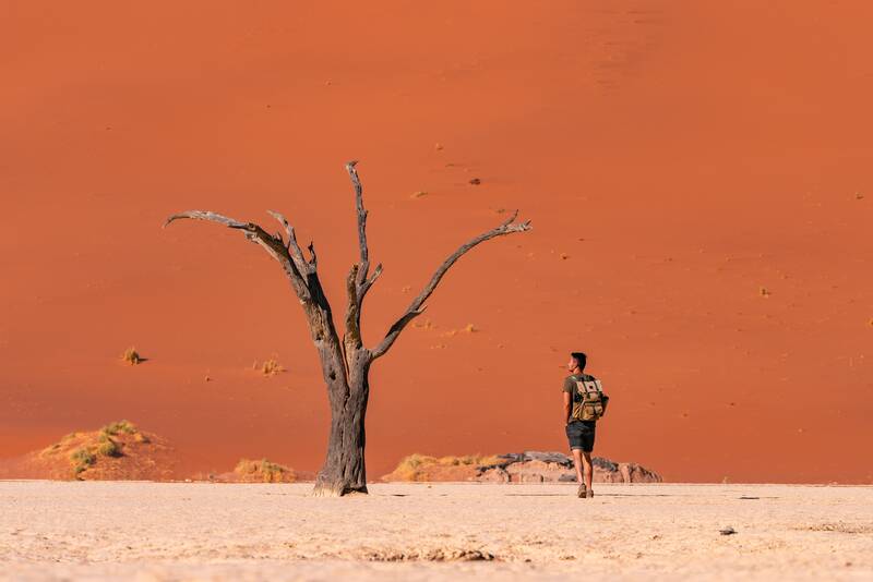 The Ultimate Guide to Sossusvlei