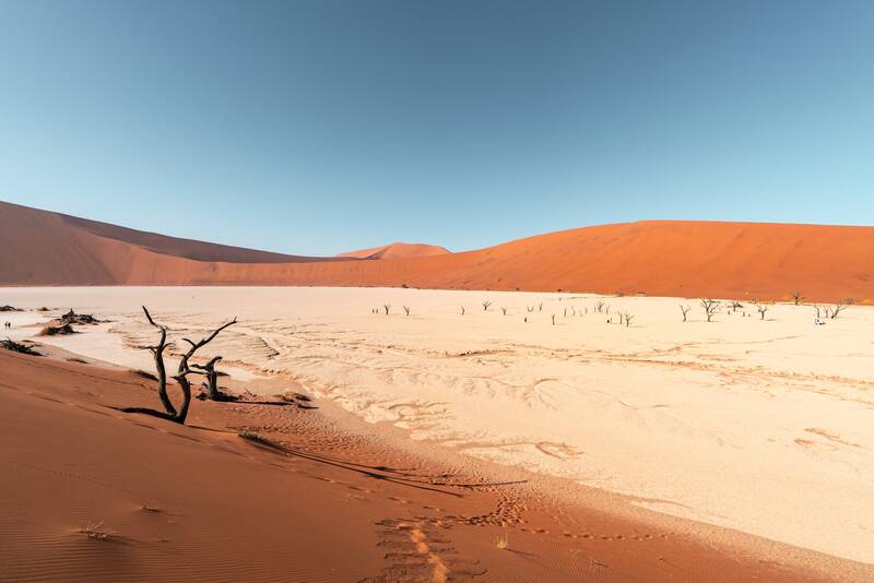 The Ultimate Guide to Sossusvlei