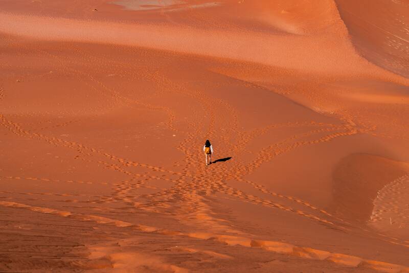 The Ultimate Guide to Sossusvlei