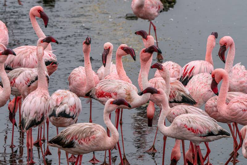 A Guide to Swakopmund: 10 Best Things to Do and More