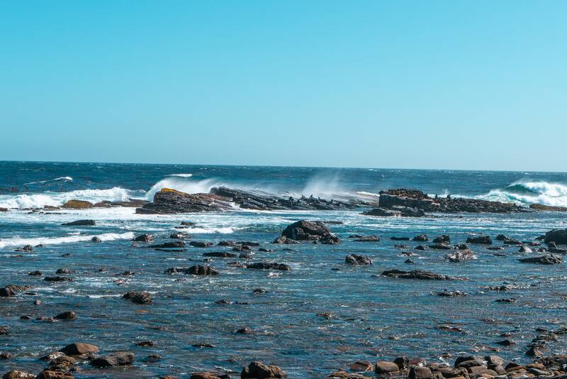Discover Cape Town: 14 Incredible Things to Do and See