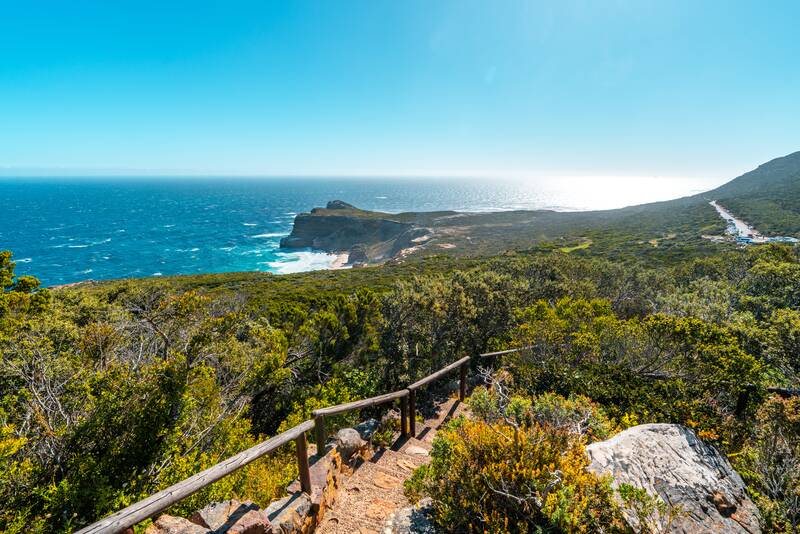 Discover Cape Town: 14 Incredible Things to Do and See