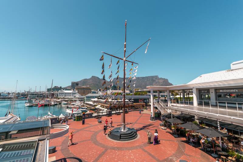 Discover Cape Town: 14 Incredible Things to Do and See