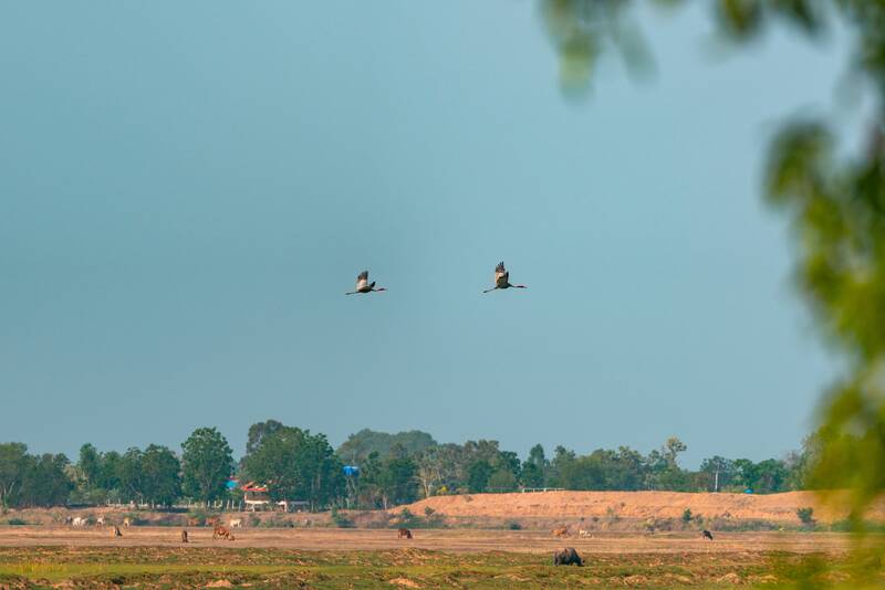 Discover Buriram: 11 Awesome Things to Do and More