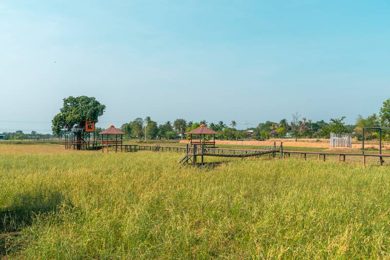 Discover Buriram: 11 Awesome Things to Do and More