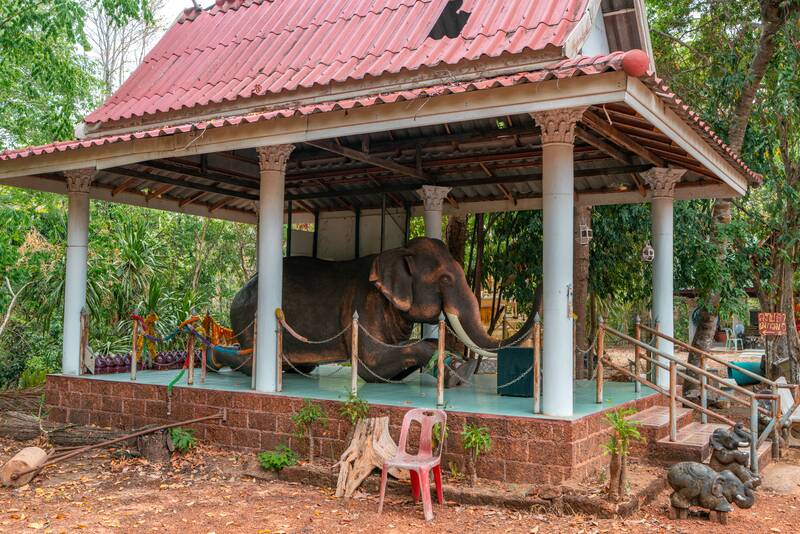 Visit Surin: 10 Incredible Things to Do and More