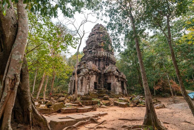 Visit Surin: 10 Incredible Things to Do and More