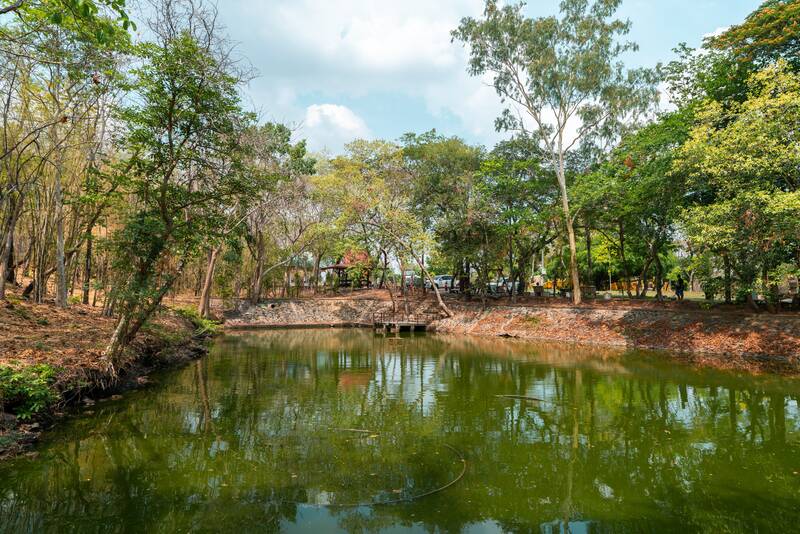Visit Surin: 10 Incredible Things to Do and More