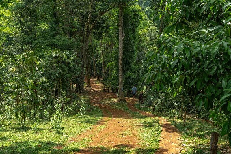 Exploring Pakse: 10 Best Things to Do and More