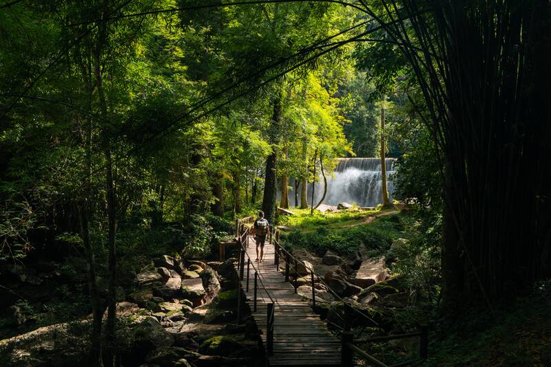 Discover Phetchabun: 10 Incredible Things to Do and More