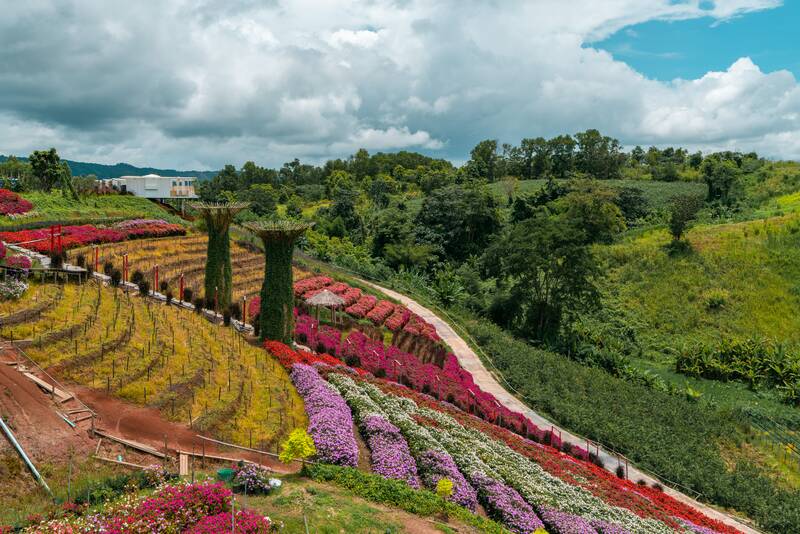 Discover Phetchabun: 10 Incredible Things to Do and More