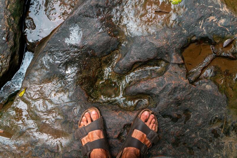 Kalasin Guide: 8 Best Things to Do & More